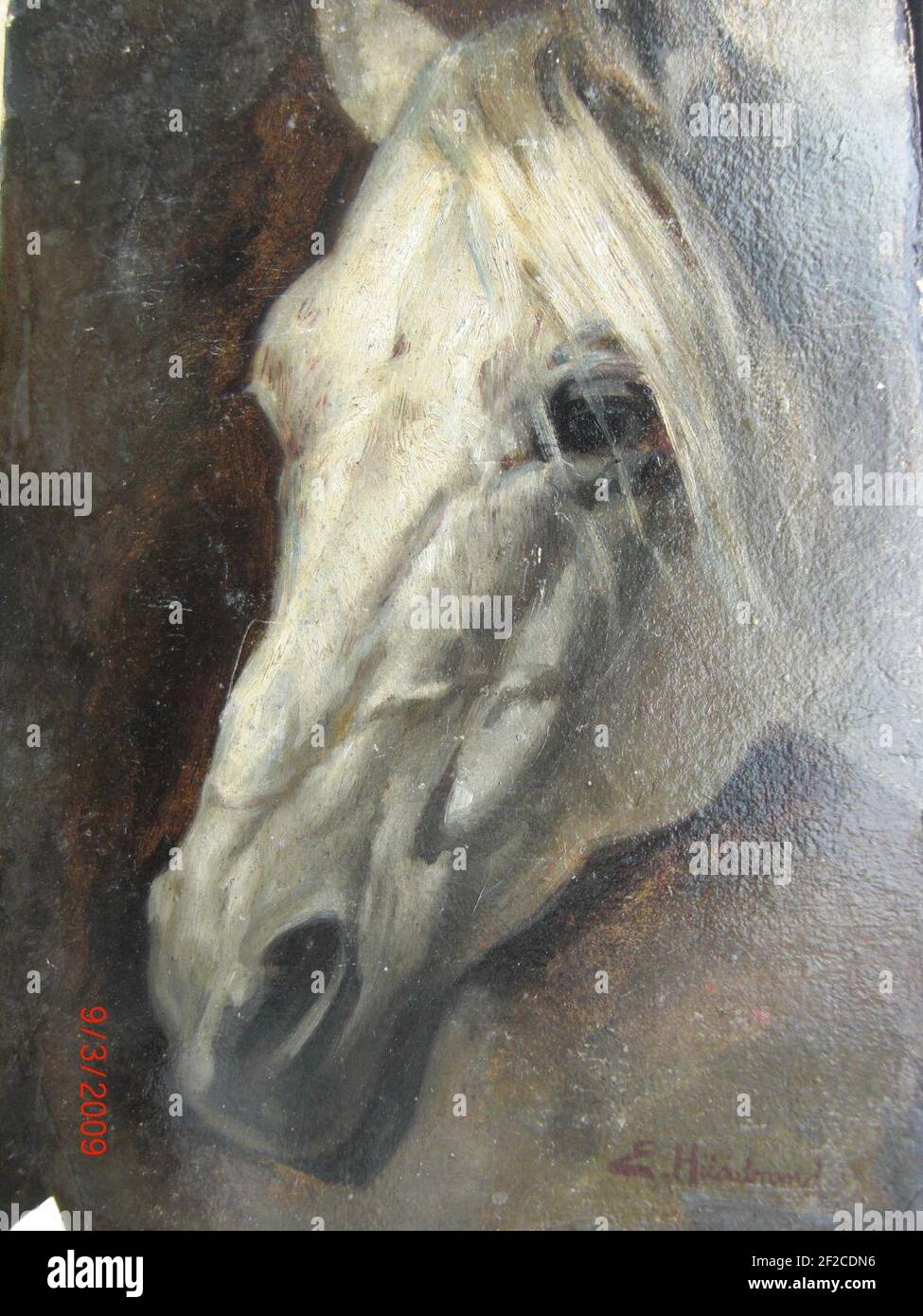 Ponny hi-res stock photography and images - Alamy