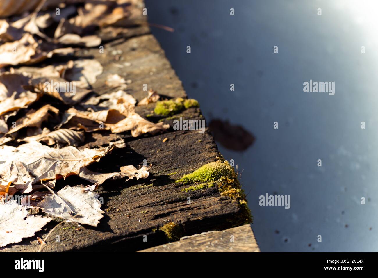 old wood covered with moss Stock Photo - Alamy
