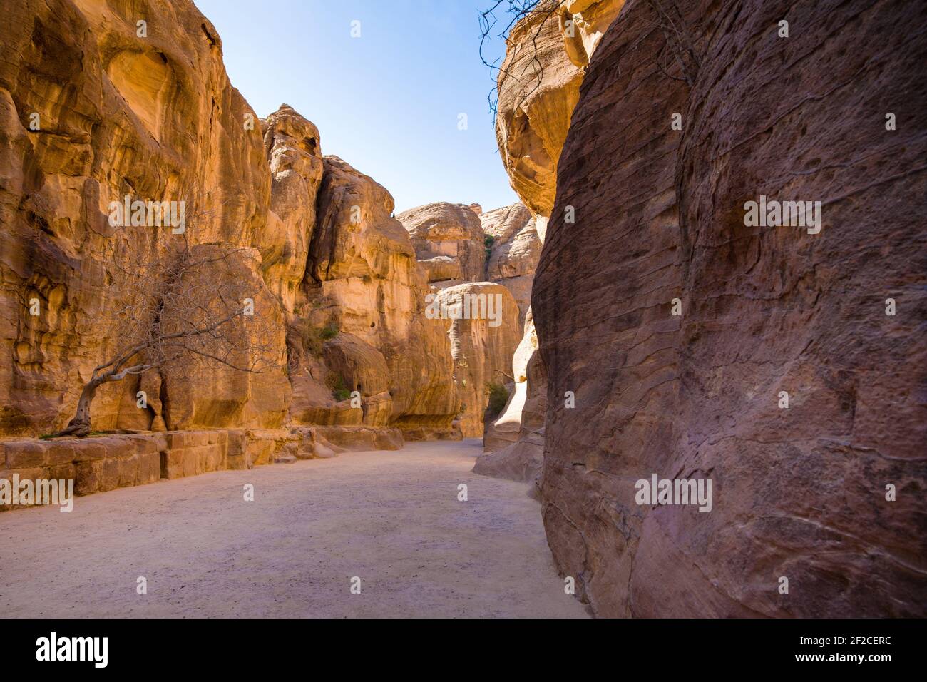 Landscape of The Siq Canyon, the main entrance to the ancient Nabatean city of Petra, Jordan ...
