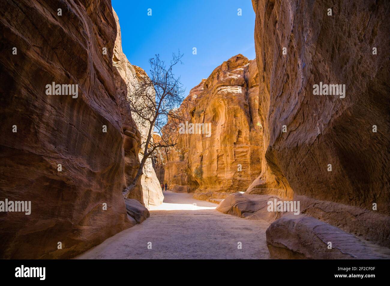 Petra, Jordan - March 9, 2019: Landscape of The Siq Canyon, the main ...