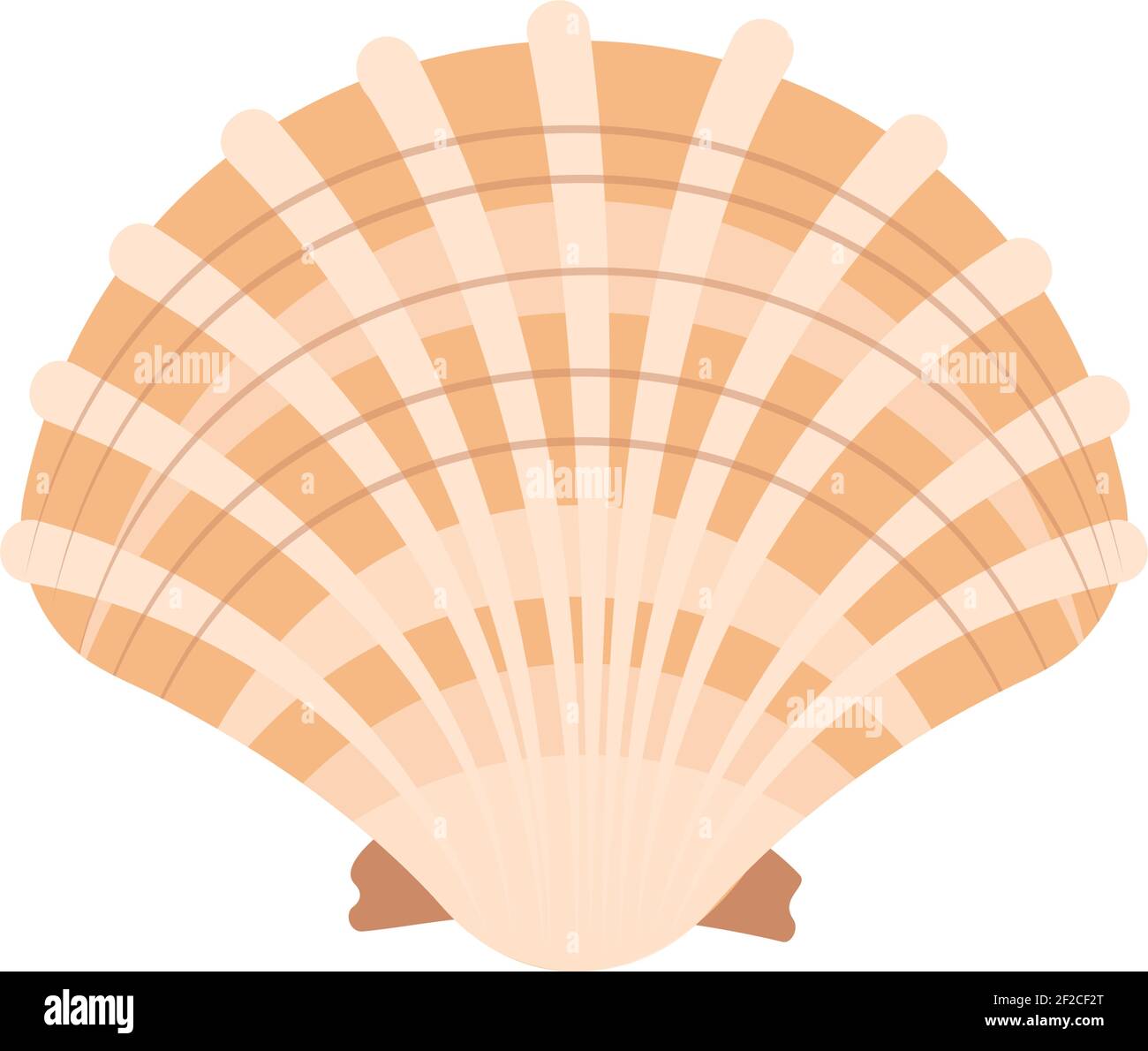 Seashell icon in beige color Stock Vector Image & Art - Alamy