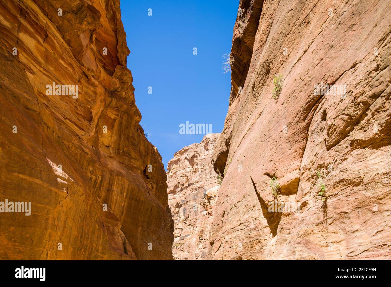 Landscape of The Siq Canyon, the main entrance to the ancient Nabatean ...