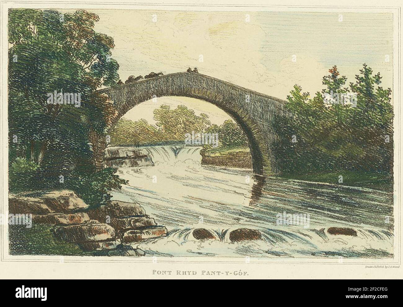 Y pant hi-res stock photography and images - Alamy