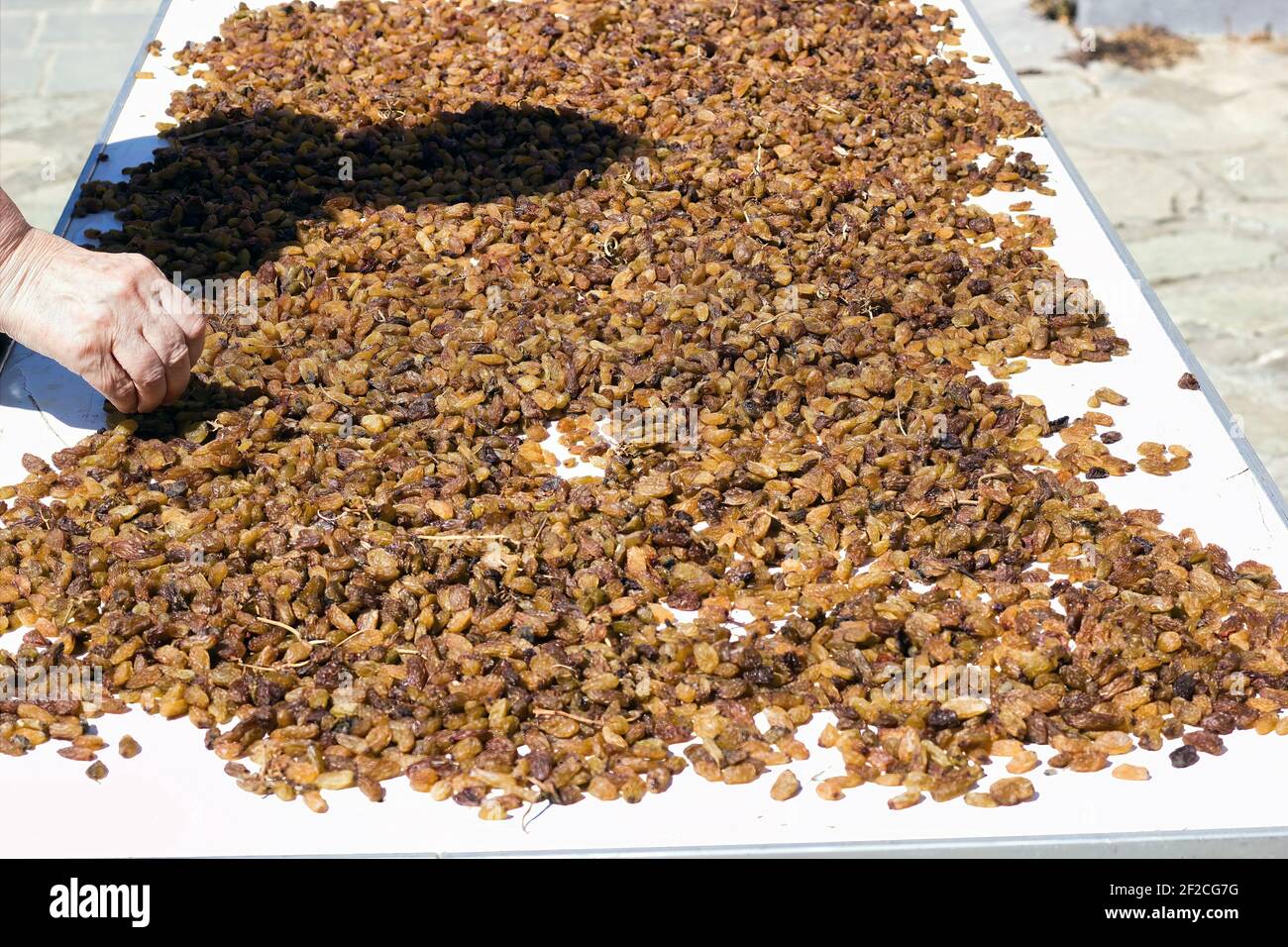 Raisin process hi-res stock photography and images - Alamy