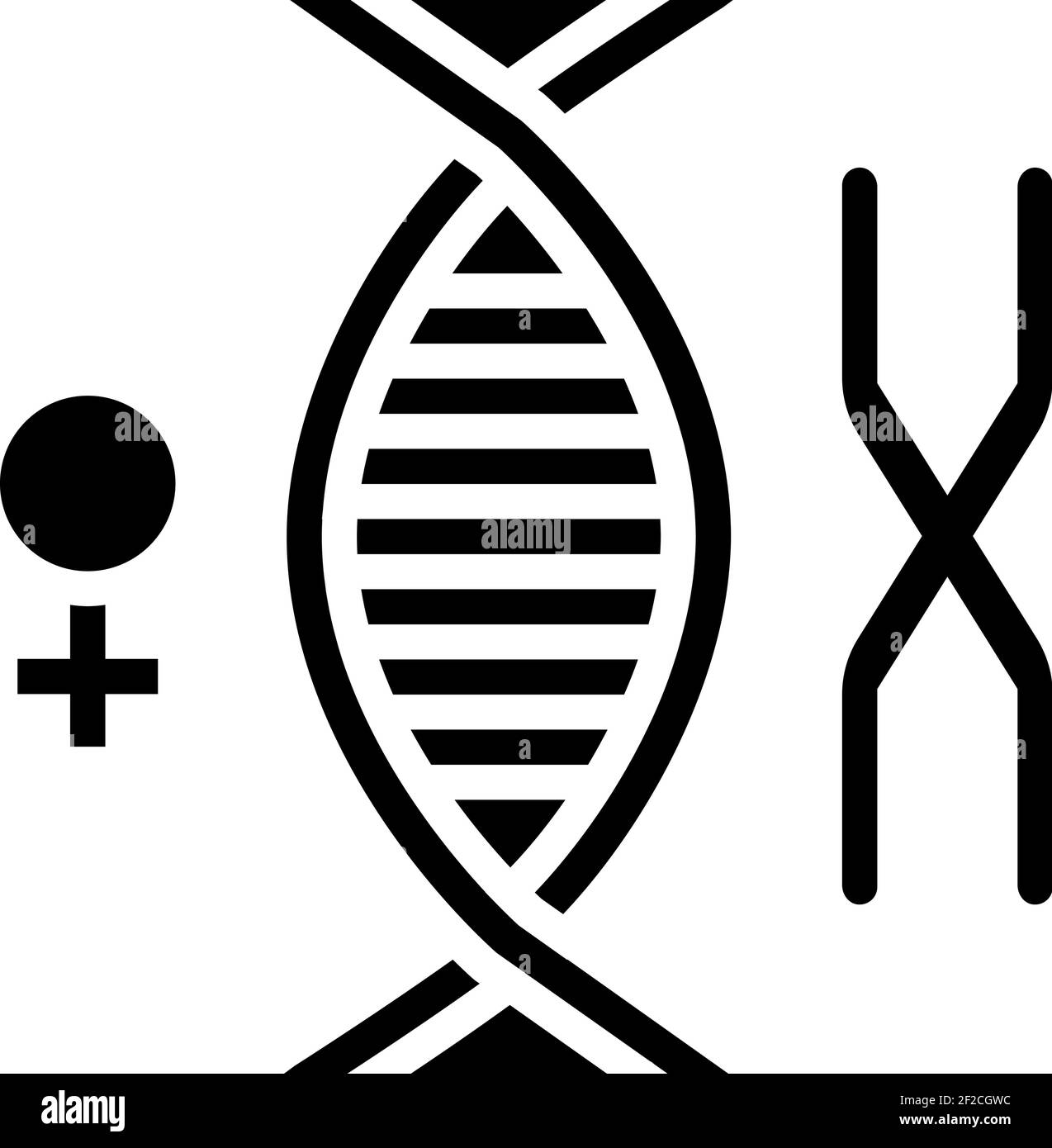 female chromosome genetic glyph icon vector illustration Stock Vector ...