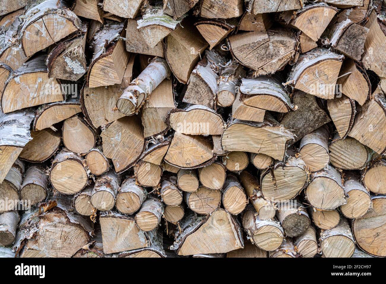Log pile wood store in England, United Kingdom, UK Stock Photo - Alamy