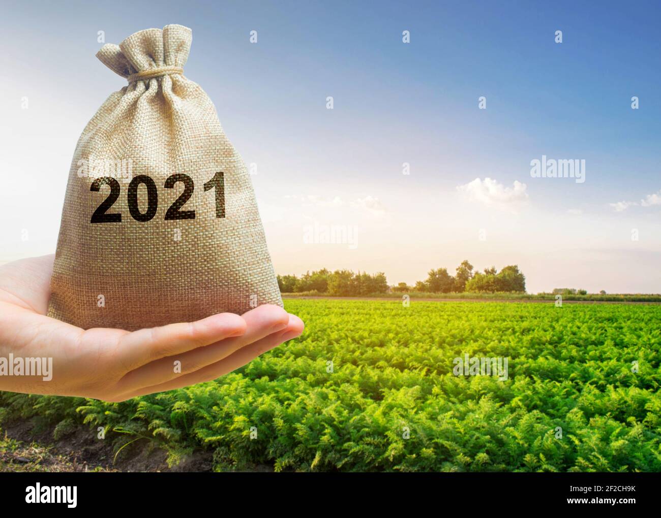 Money bag 2021 in the hands of a farmer and agricultural plantations ...
