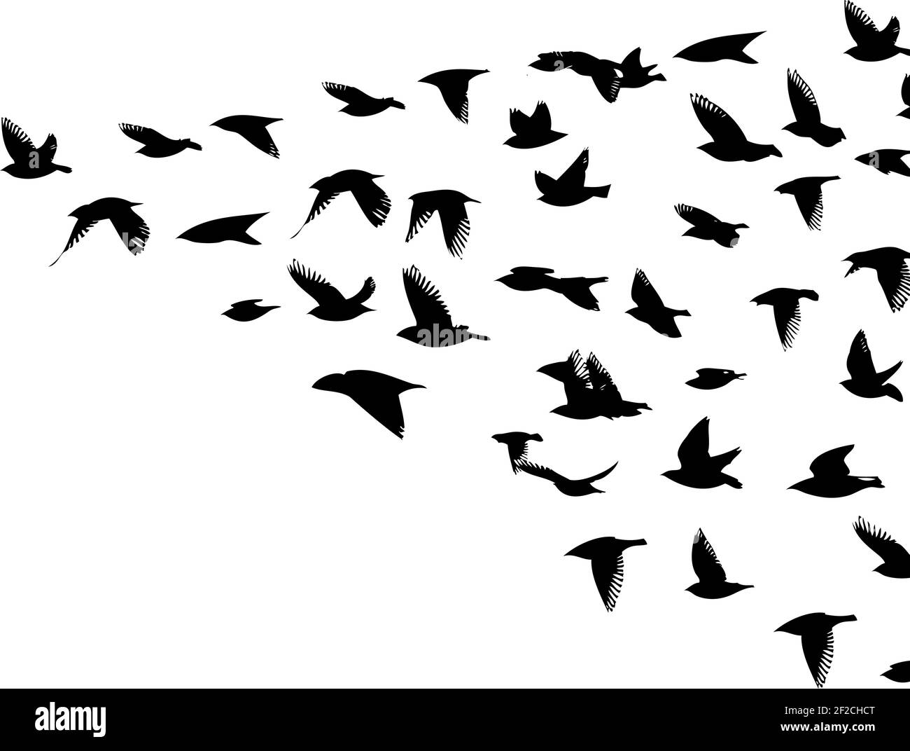 A large flock of flying birds. Free birds. Vector illustration Stock ...
