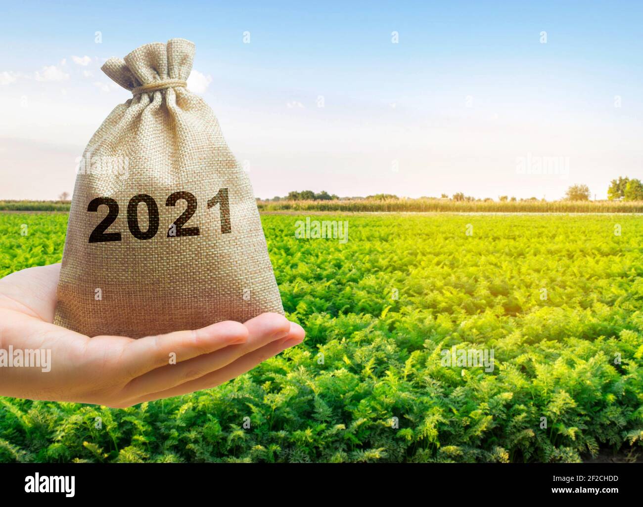 Money bag 2021 in the hands of a farmer and agricultural plantations ...