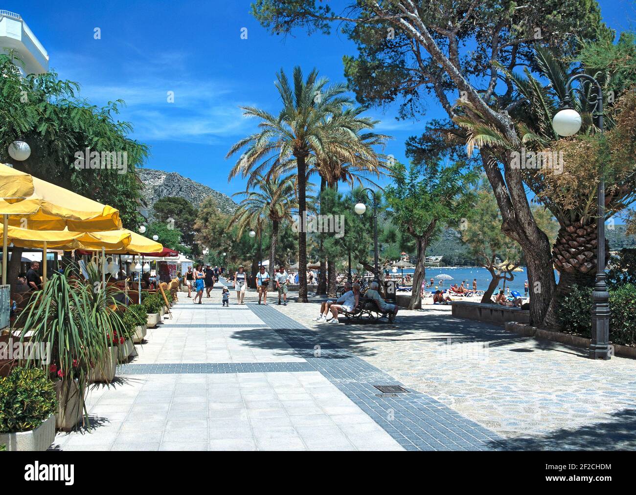 Pine Walk Promenade, Port Pollenca, Majorca, Balearic islands, Spain ...