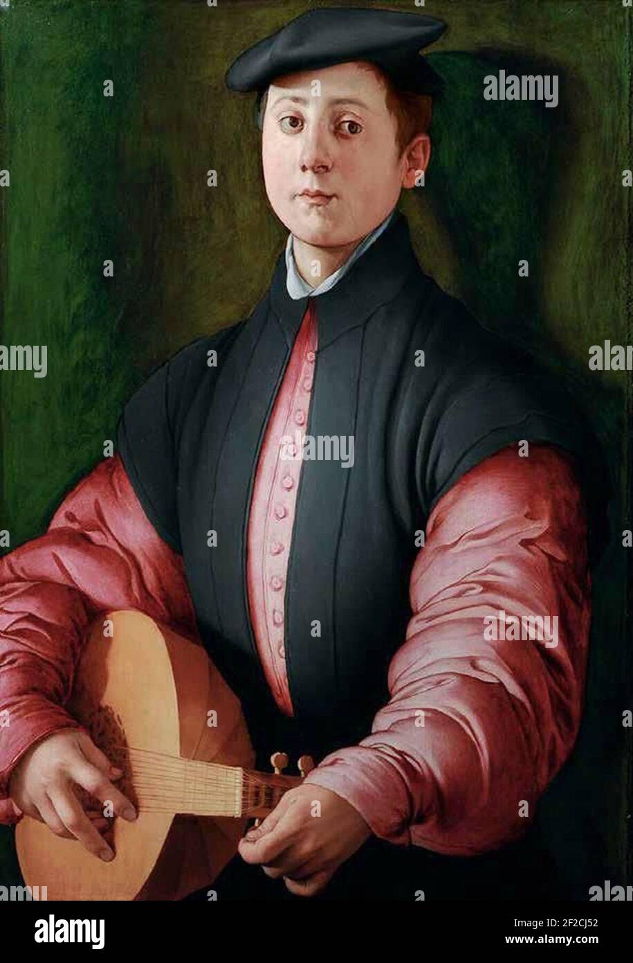 Pontormo - Portrait d'un joueur de luth Stock Photo - Alamy