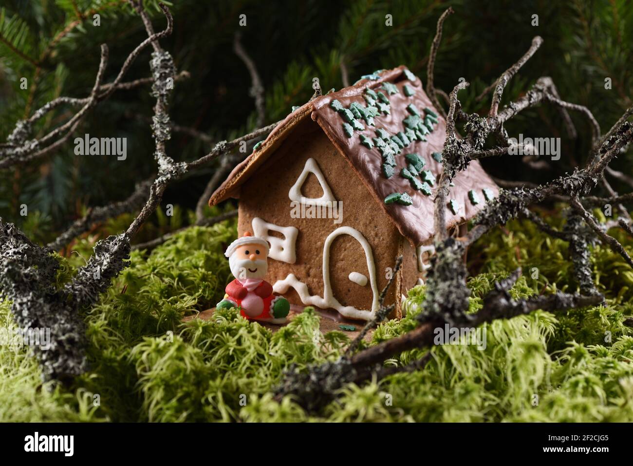 Gigerbread House In A Forest Gingerbread House | Tropedia | Fandom