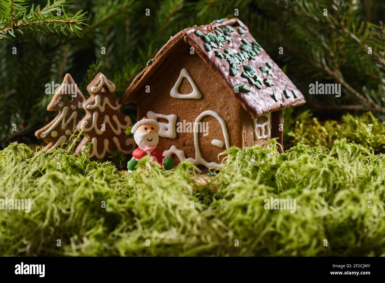 Traditional Christmas gingerbread house, cookies and happy smiling ...