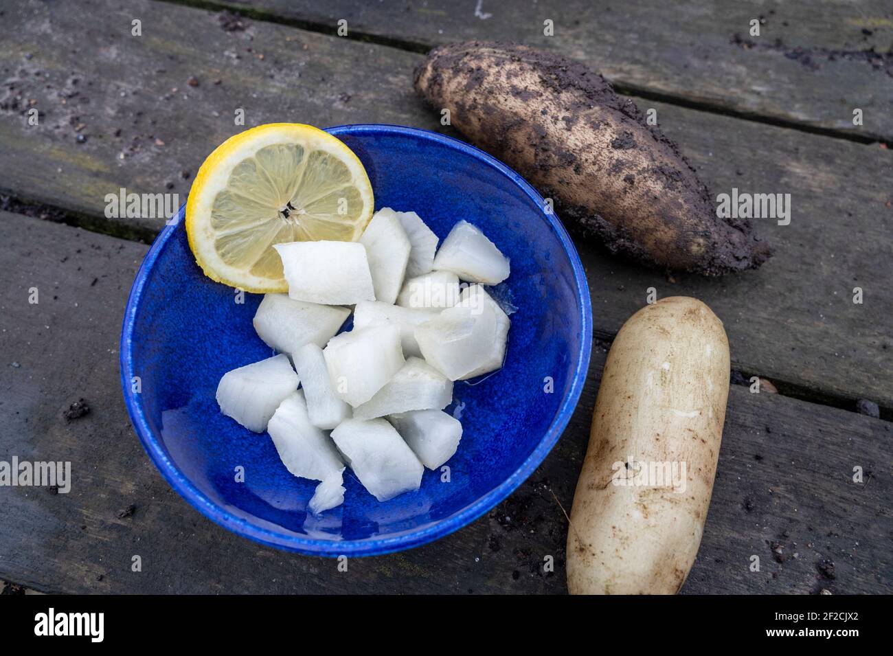 Yacon tubers (smallanthus sonchifolius), 'Peruvian ground apple ...