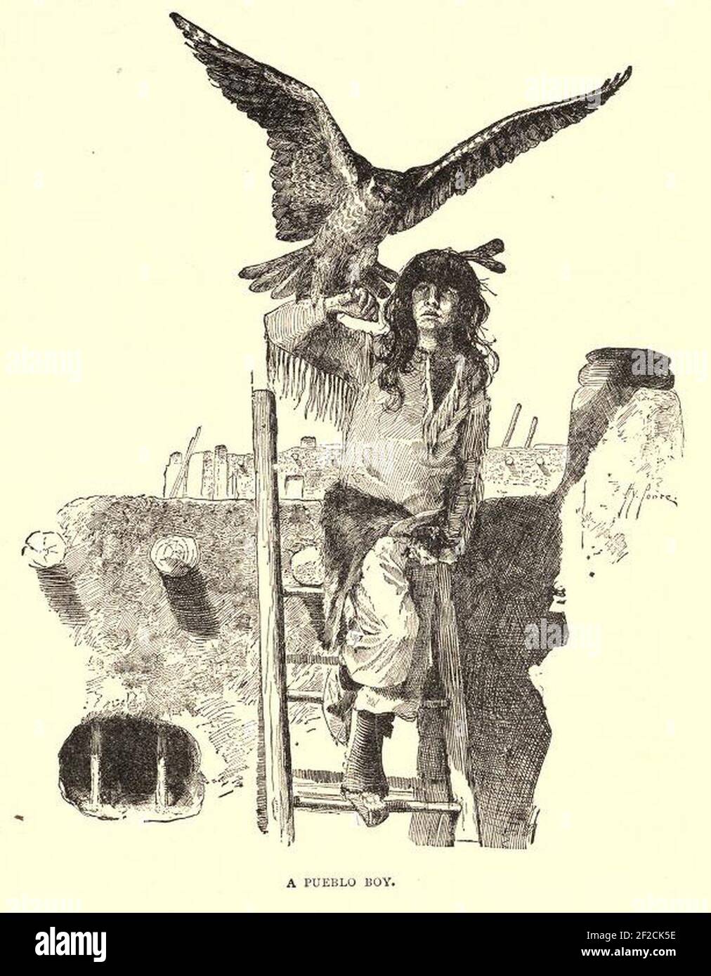 Poore hi-res stock photography and images - Alamy