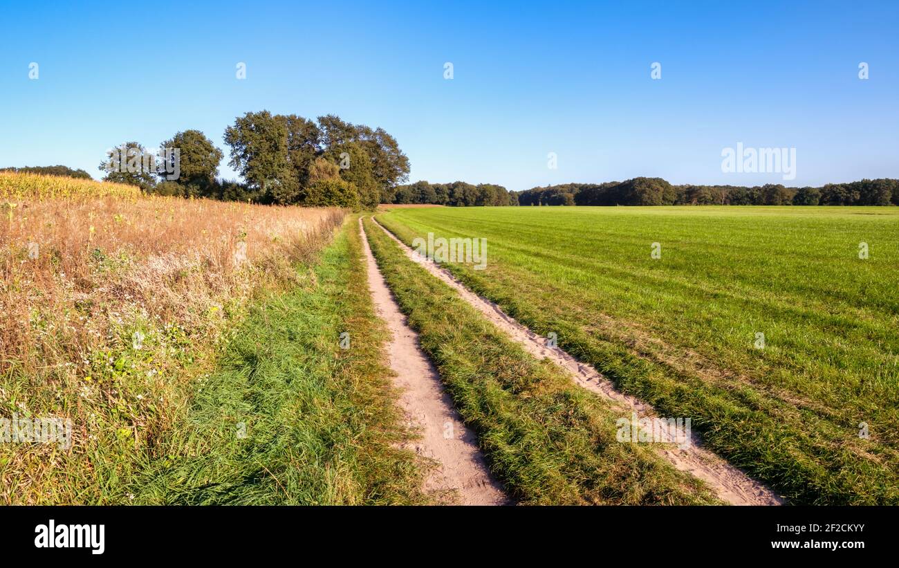 Sun is setting at Walking trail in a beautiful Dutch farm landscape ...