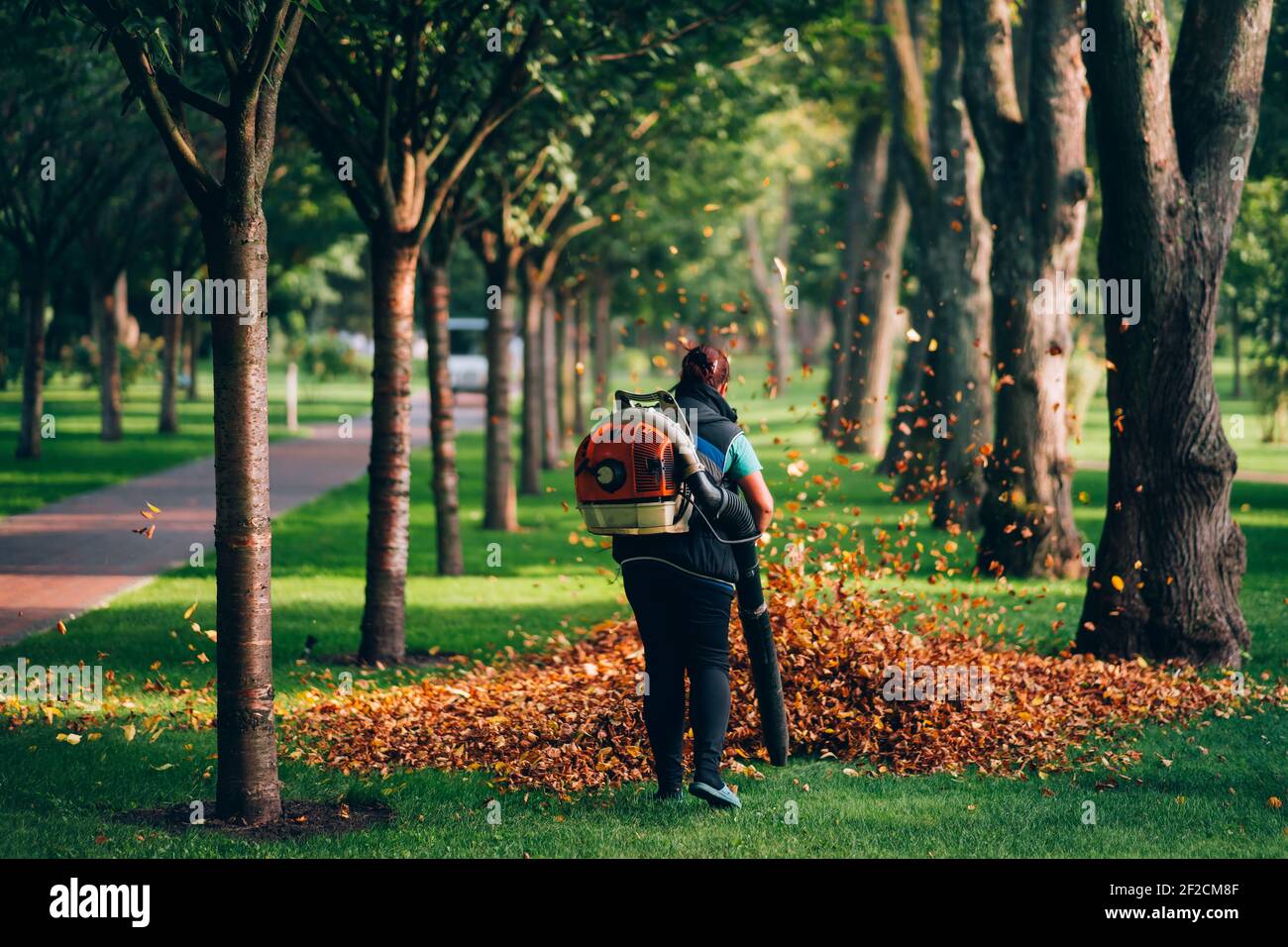 A woman operating a heavy duty leaf blower Stock Photo - Alamy