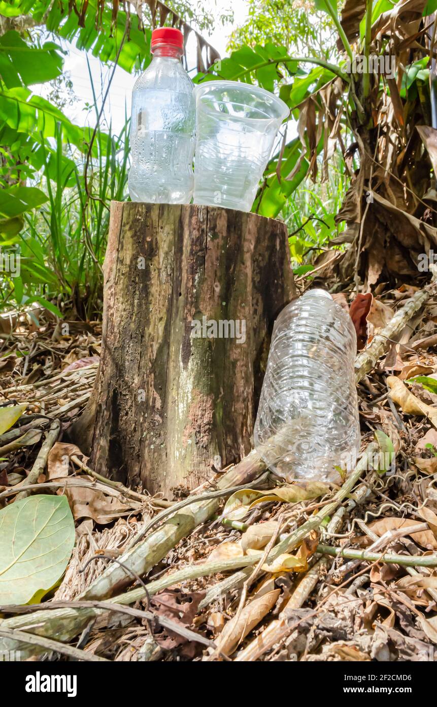 Bottles tree stump hi-res stock photography and images - Alamy