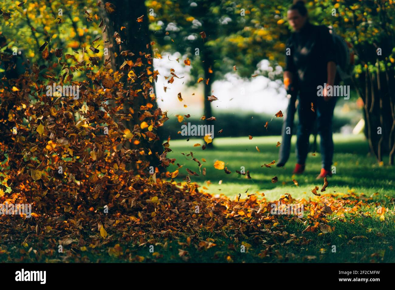 A woman operating a heavy duty leaf blower Stock Photo - Alamy