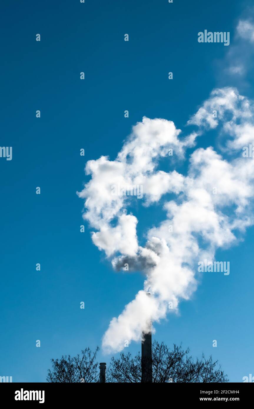 smokestacks of a heating plant emitting white smoke into blue sky Stock ...