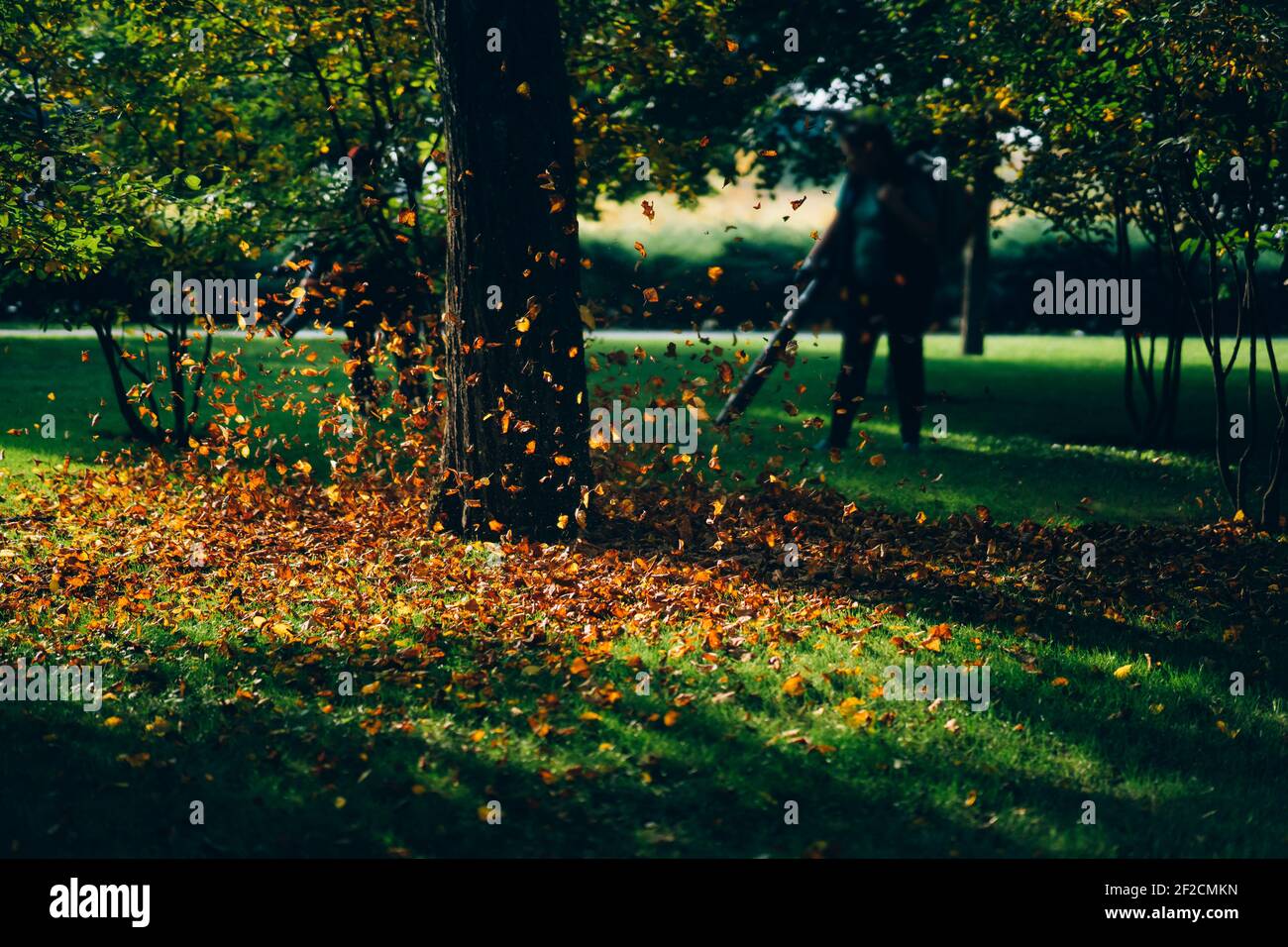 Woman blowing leaves leaf blower hi-res stock photography and images ...