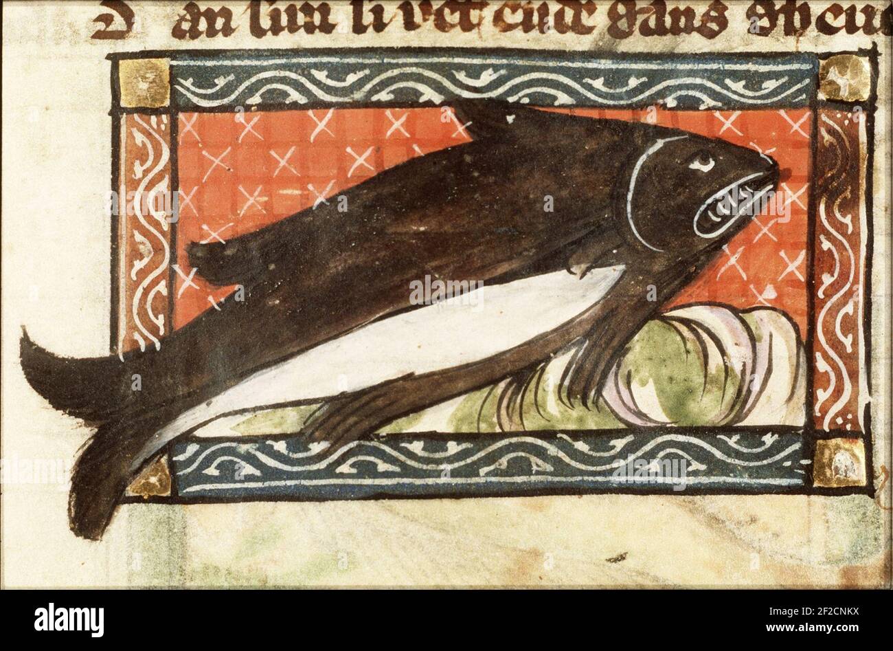 Porcus marinus (sea-hog) - Der naturen bloeme - Jacob van Maerlant - KB ...