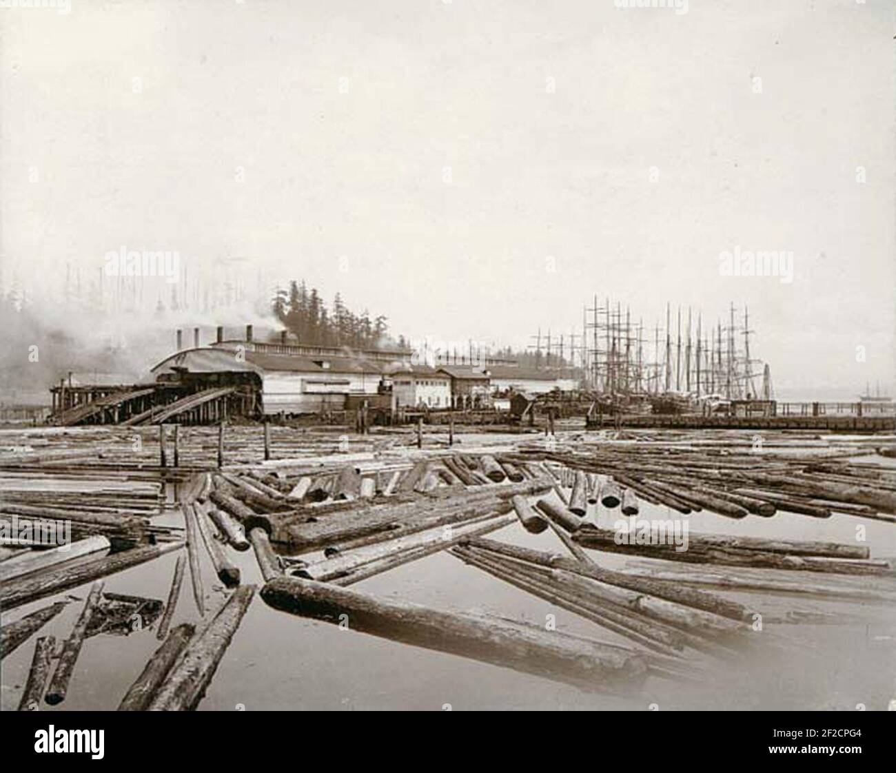Log mill washington hi-res stock photography and images - Alamy