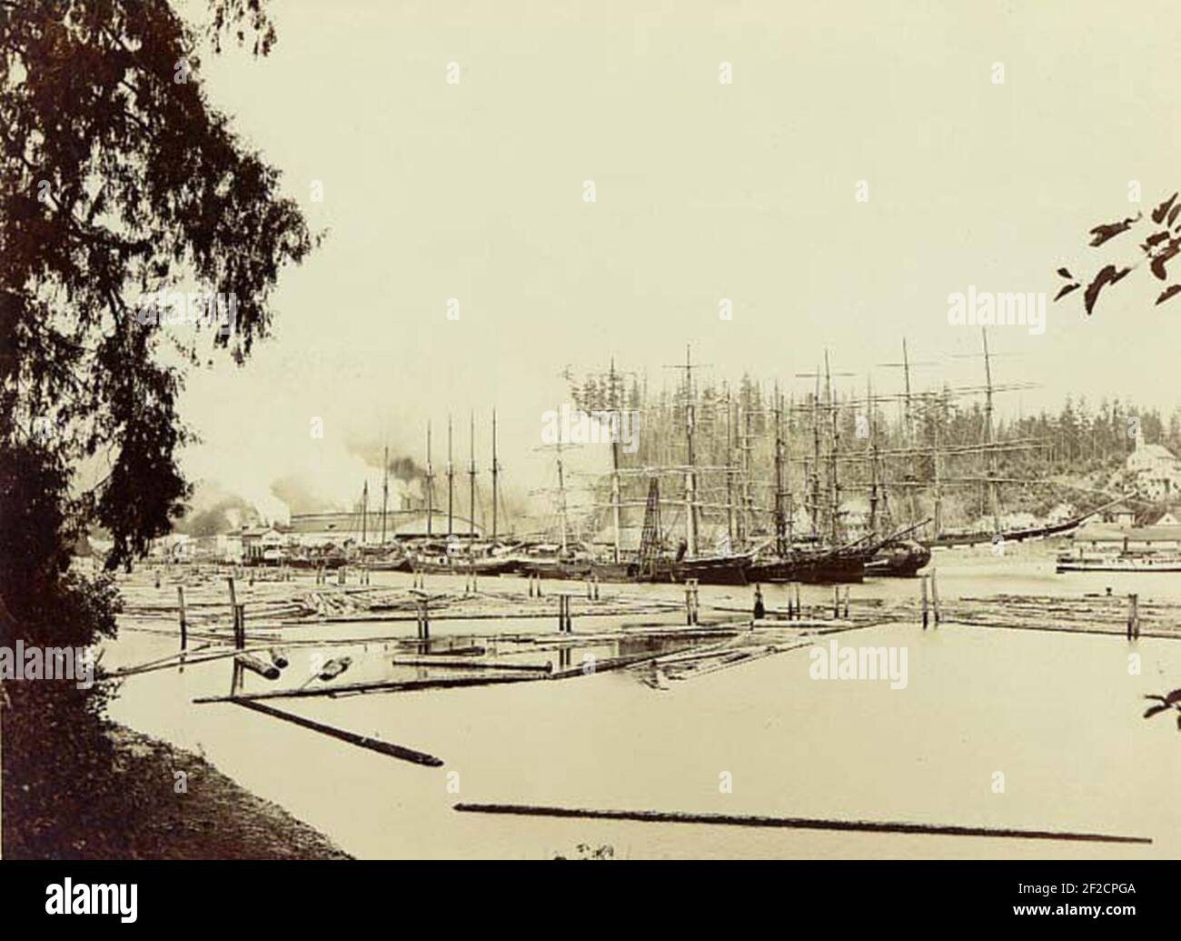 Port blakely hi-res stock photography and images - Alamy