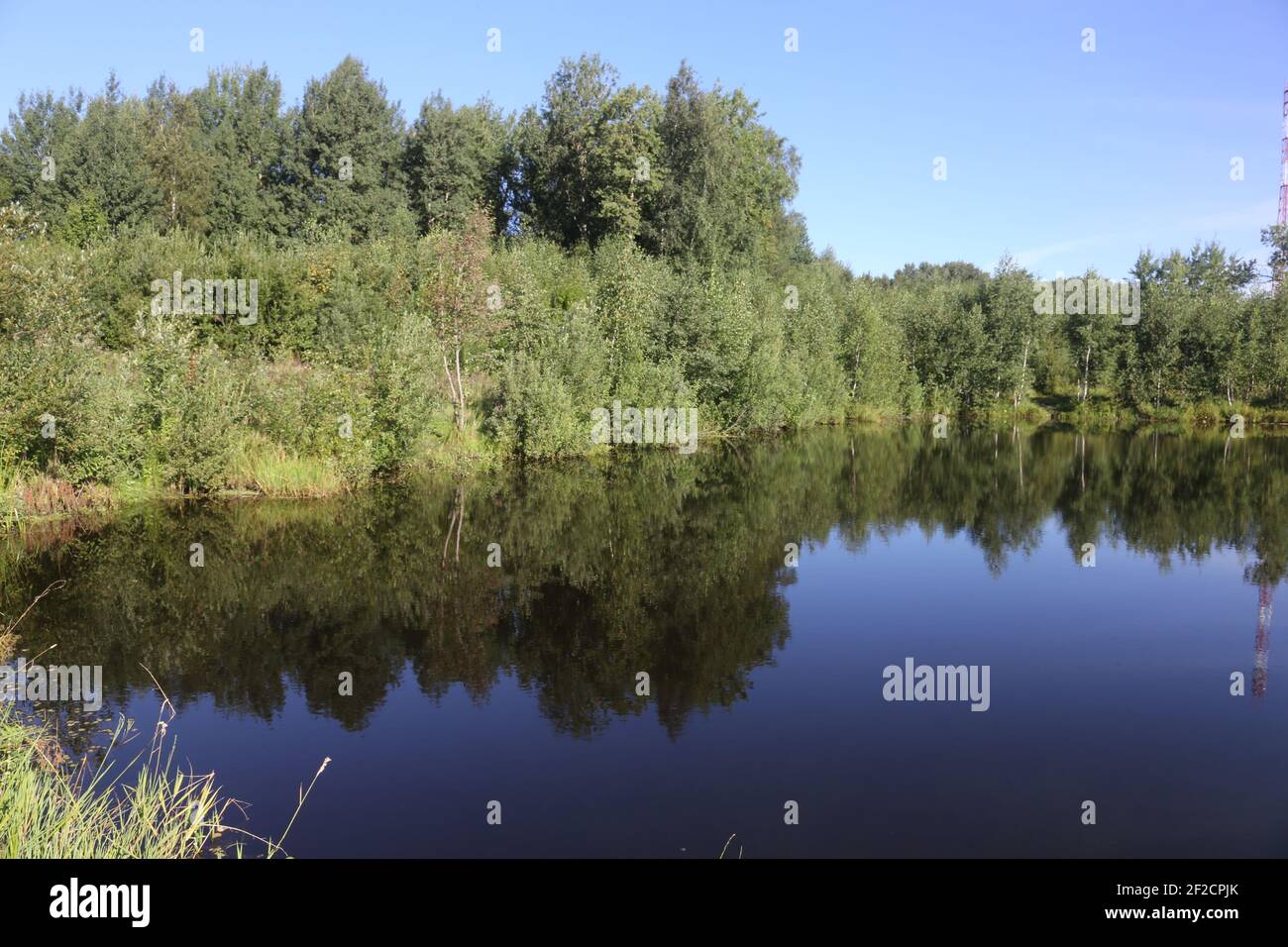 Body water surrounded trees grass hi-res stock photography and images ...
