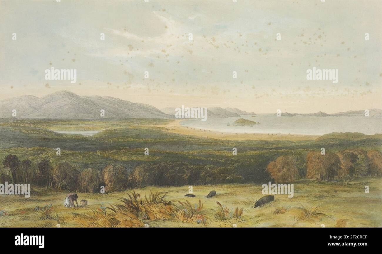 Port Nicholson from the hills above Pitone in 1840. (Te Papa, 1992-0035 ...