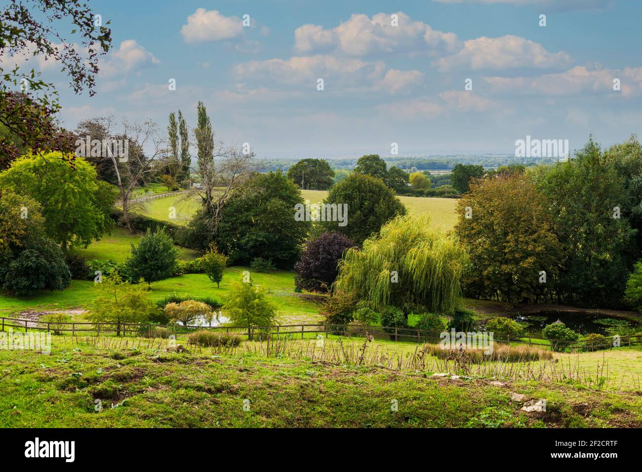 Weald of kent tree hi-res stock photography and images - Alamy