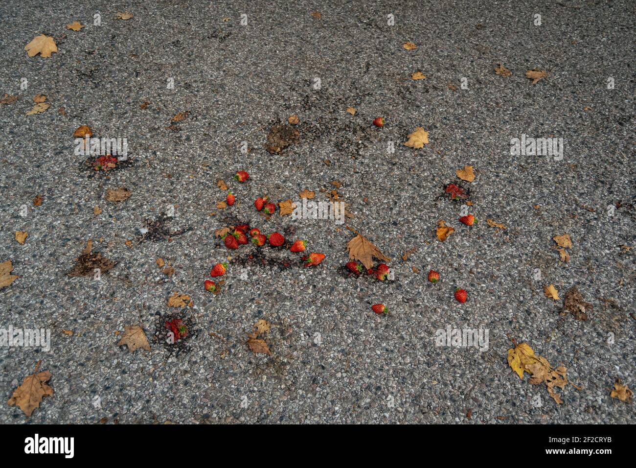 Dropped food waste hi-res stock photography and images - Alamy