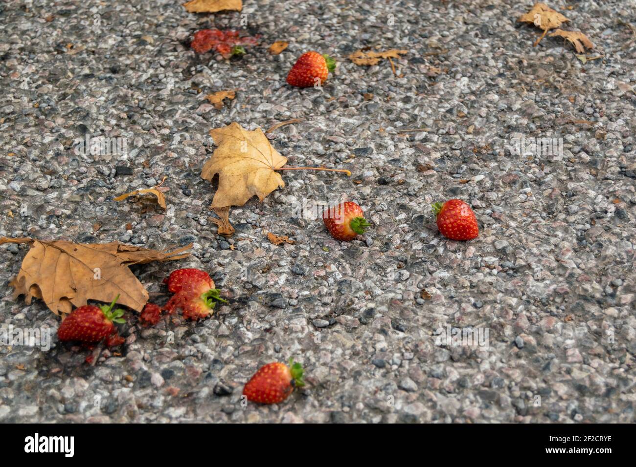 Dropped Food Waste High Resolution Stock Photography and Images - Alamy