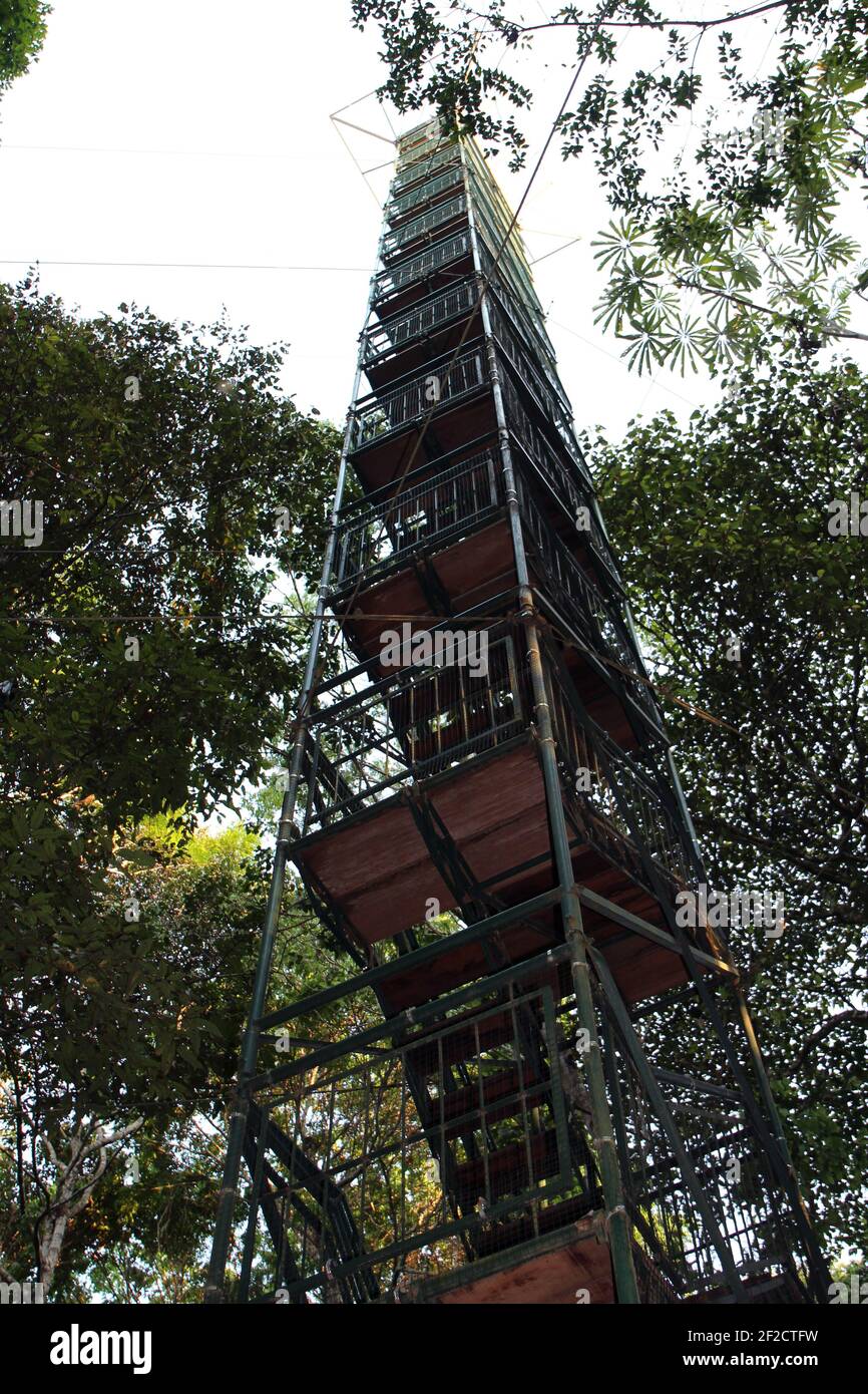 An eleven story platform tower to view the canopy of the Amazon ...