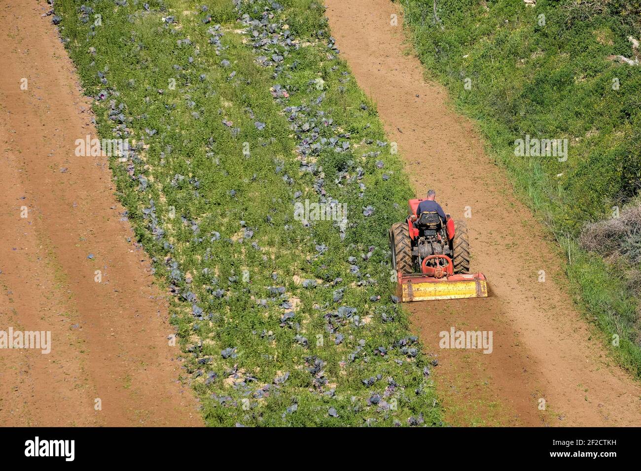 Farmer harvesting crops and working on his tractor in the field Stock ...