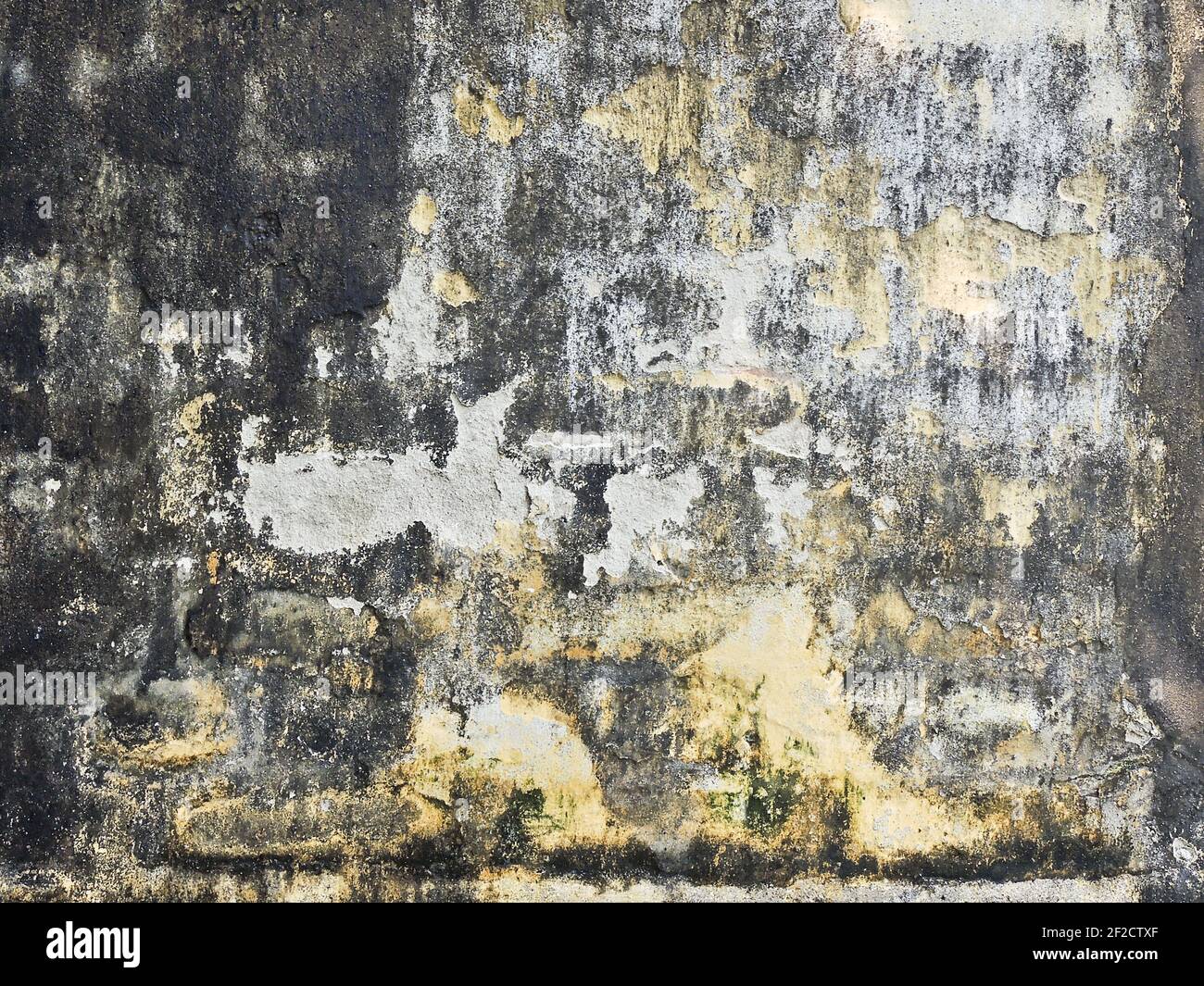 A shot of a wall with bricks covered in paint Stock Photo - Alamy