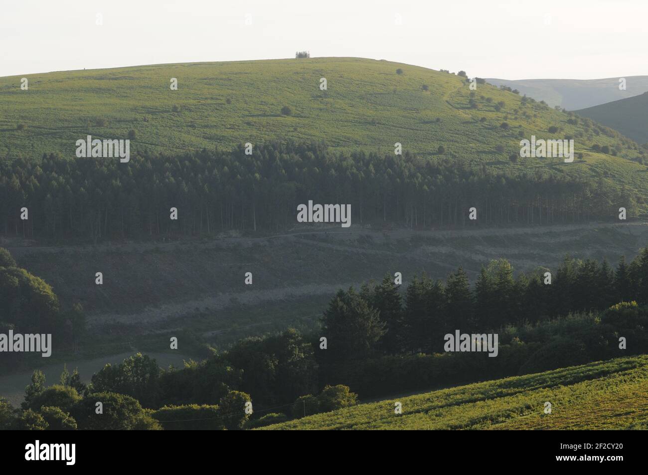 Hergest Ridge, Kington, Herefordshire Stock Photo - Alamy