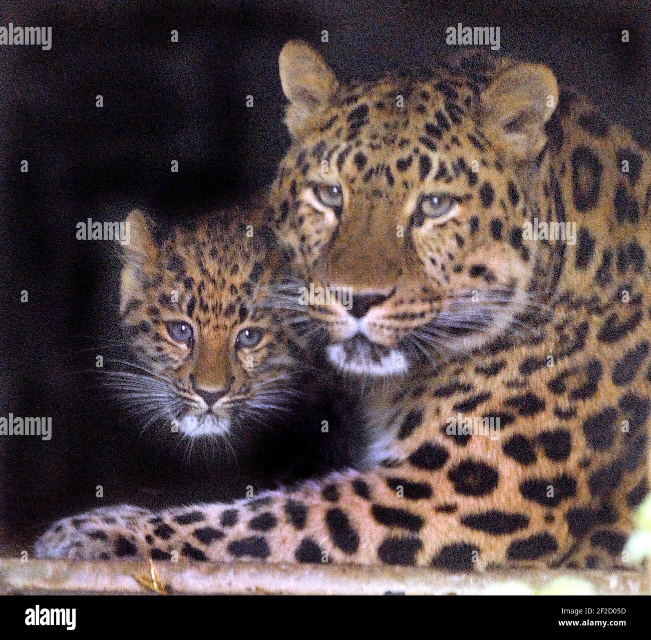 Month y hi-res stock photography and images - Alamy