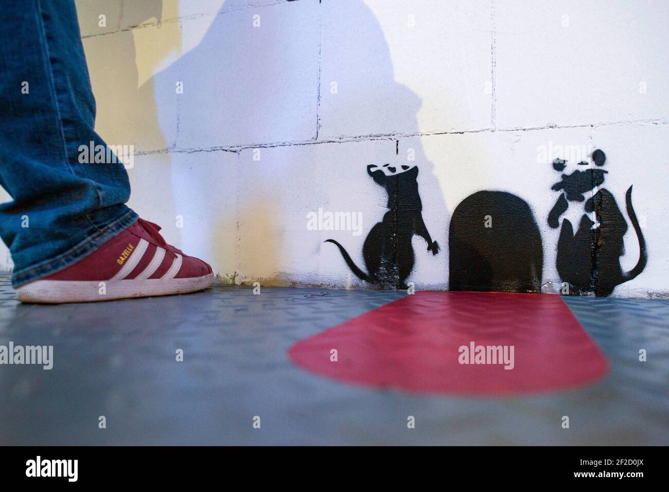 The replica of "Red Carpet Rats" graffiti by Banksy seen on a wall in ...