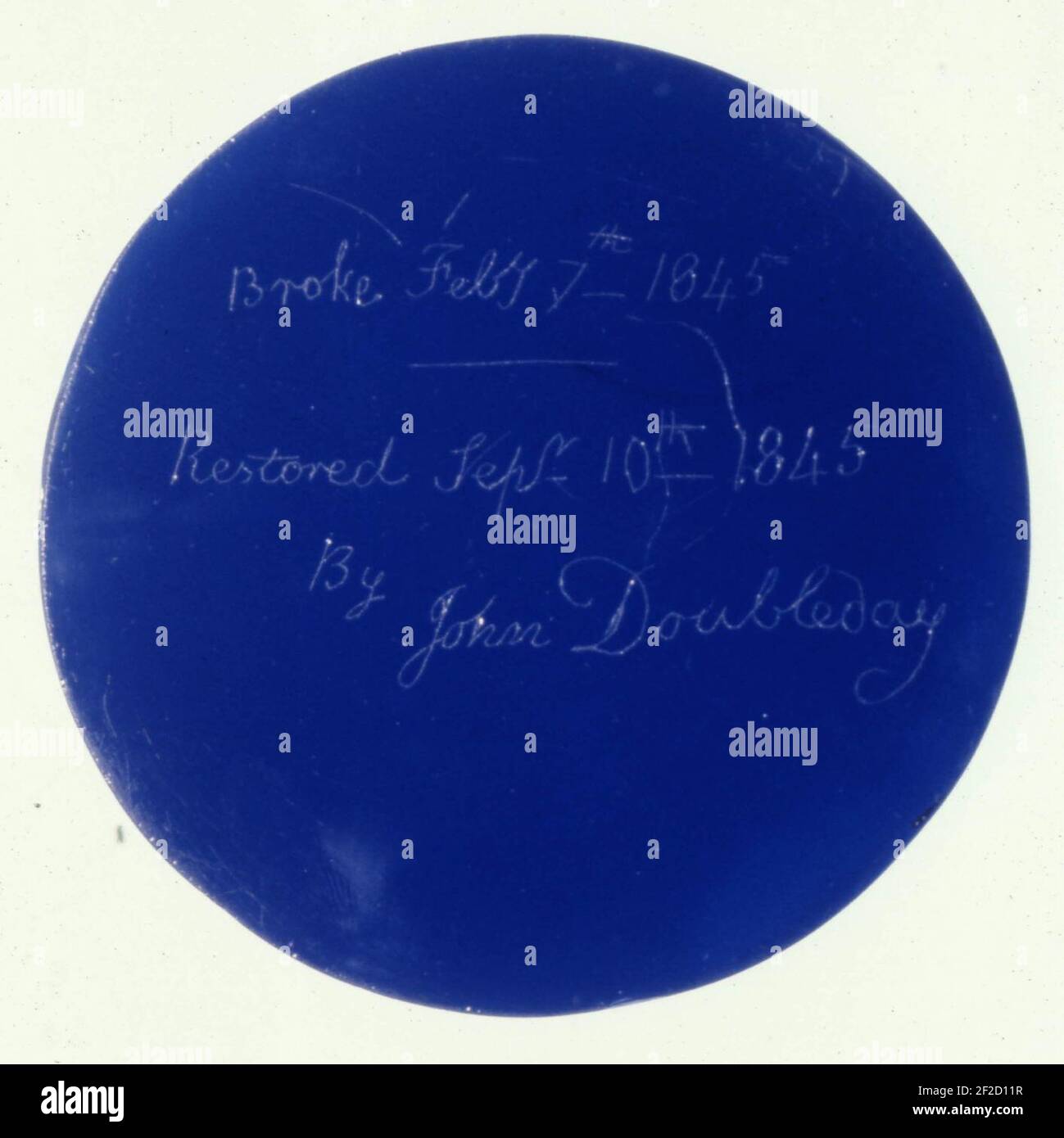 Basal disc hi-res stock photography and images - Alamy