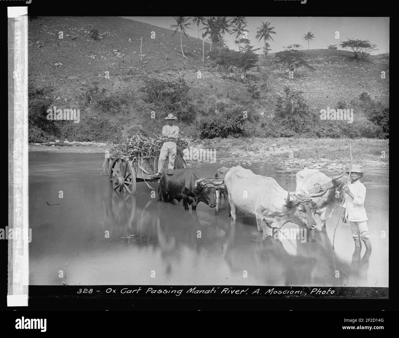 Porto (i.e., Puerto) Rico, West Indies, 328- Ox cart passing Manati ...