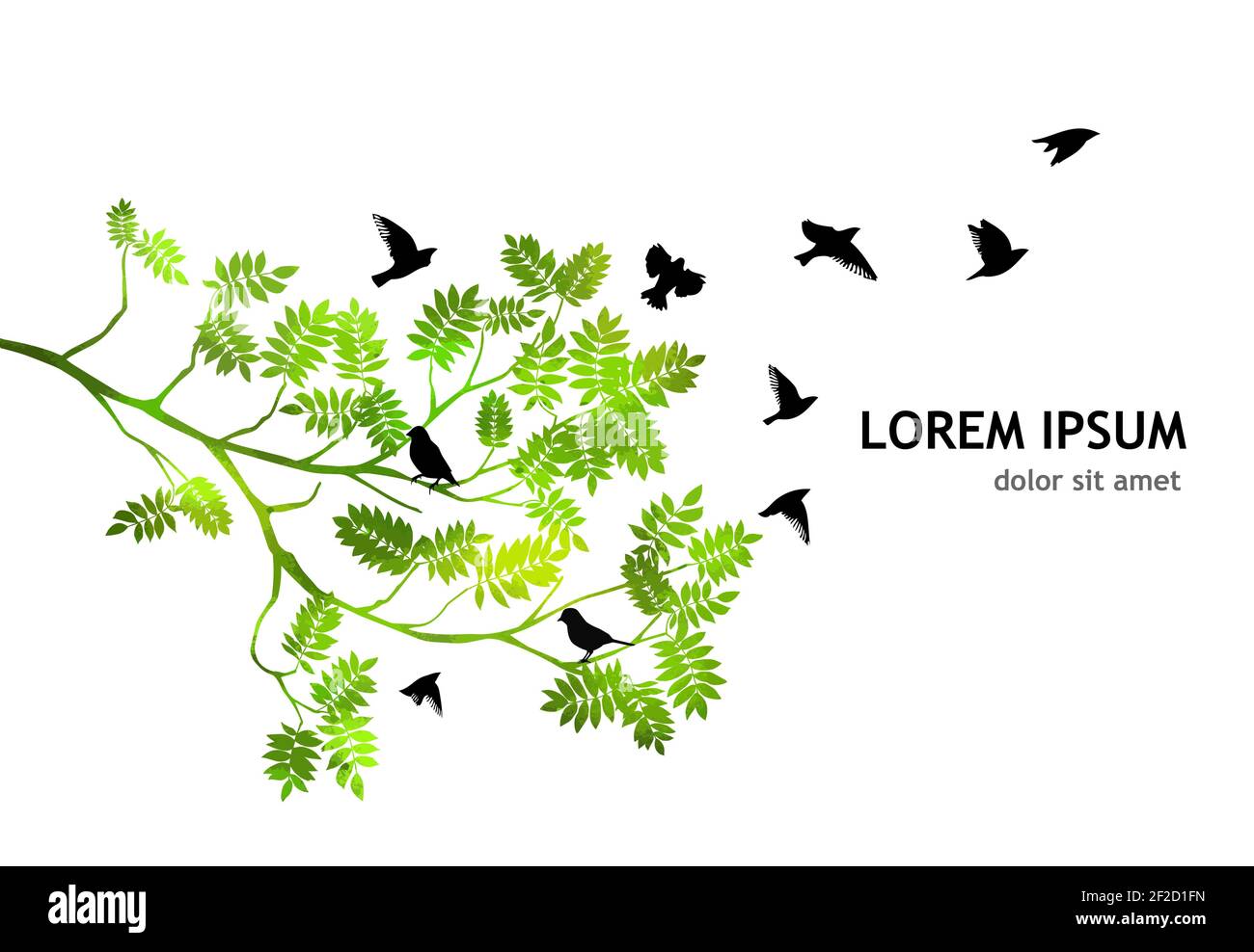 Summer tree branch with fresh green leaves and Flying birds. Vector ...