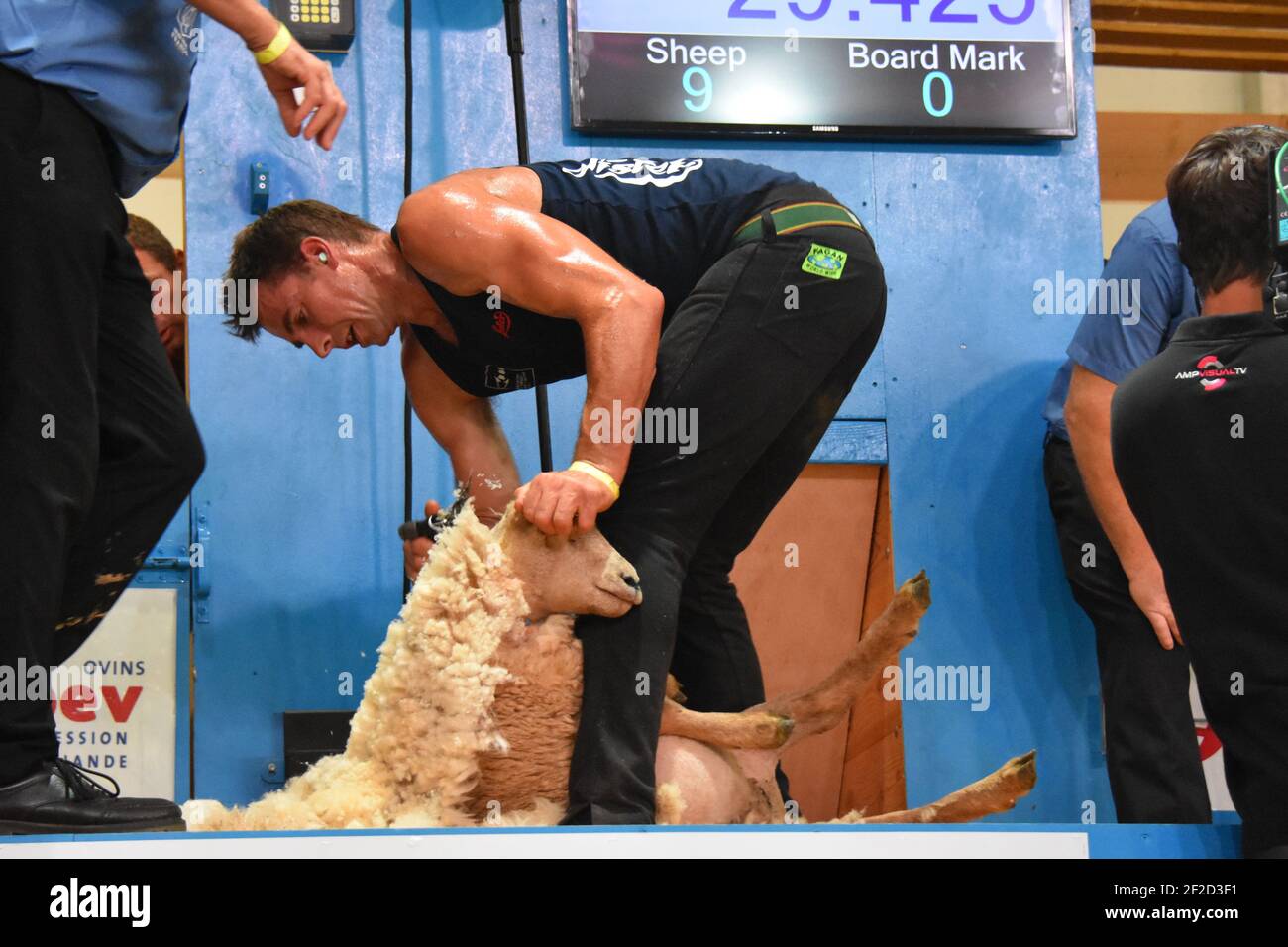 Ivan Scott shearing at World Champs France 2019 Stock Photo - Alamy