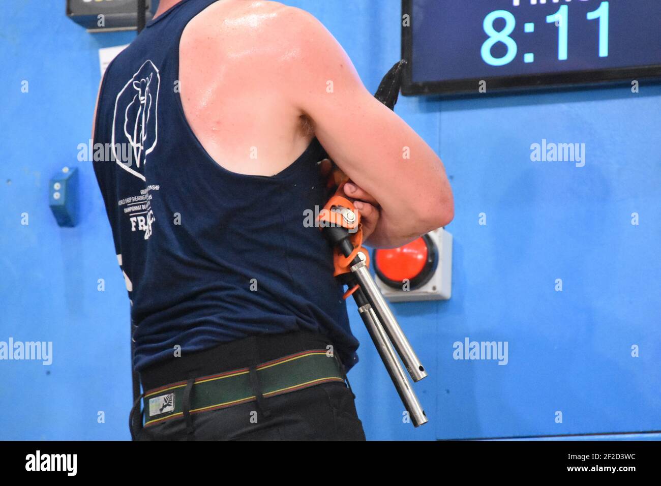 Lister shearing hi-res stock photography and images - Alamy