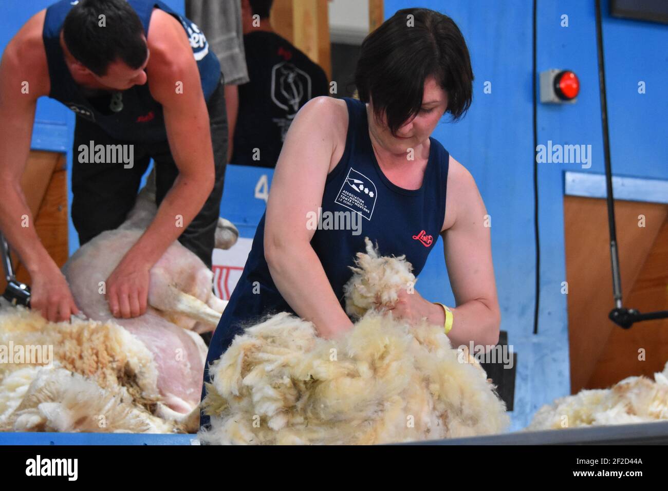 Gavin lamb hi-res stock photography and images - Alamy