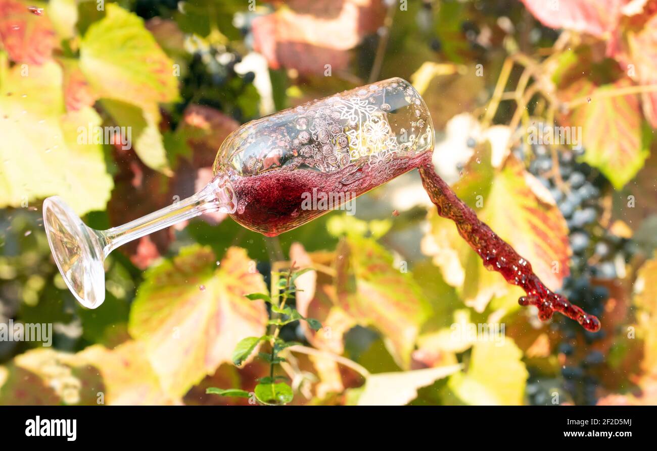 Wine falling into glass hi-res stock photography and images - Alamy