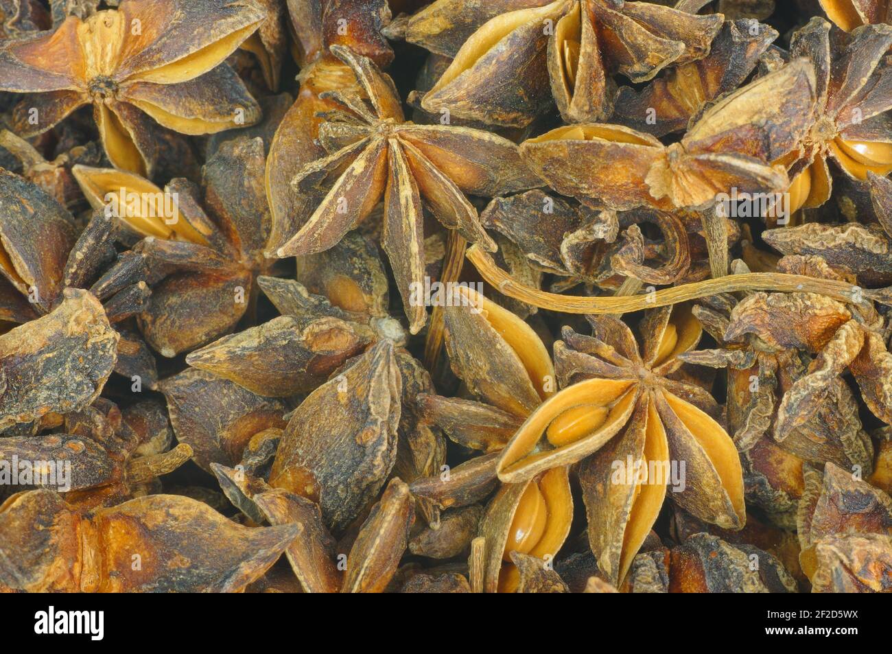 Dried Anise flowers - aromatic spice in high magnification Stock Photo ...
