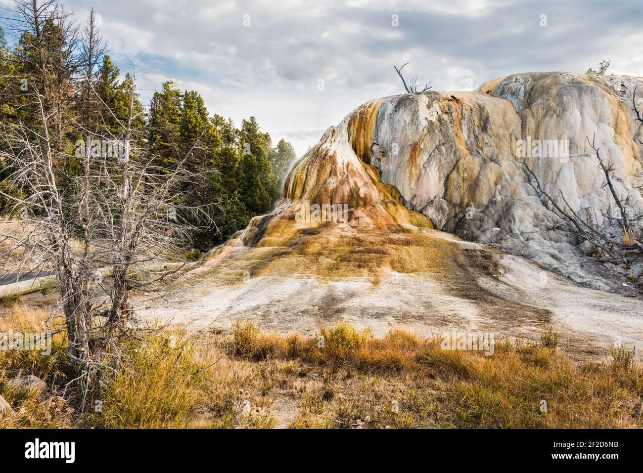 Orange Mound Spring in Yellowstone National Park showing its impact on ...