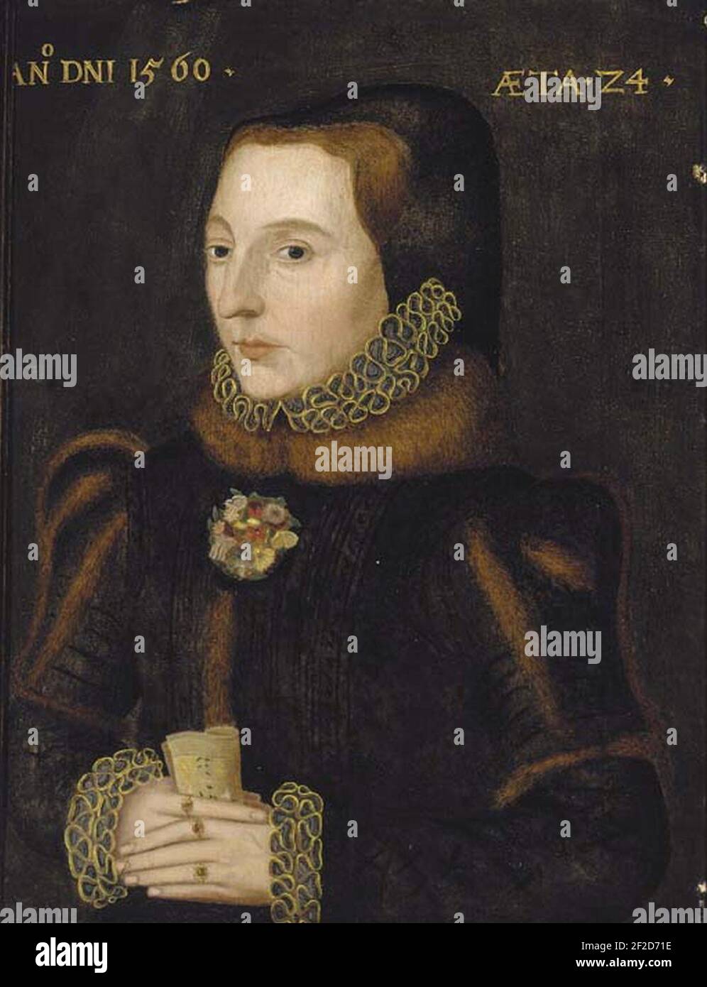 Portrait of a Lady aged 24 in 1560 Stock Photo - Alamy