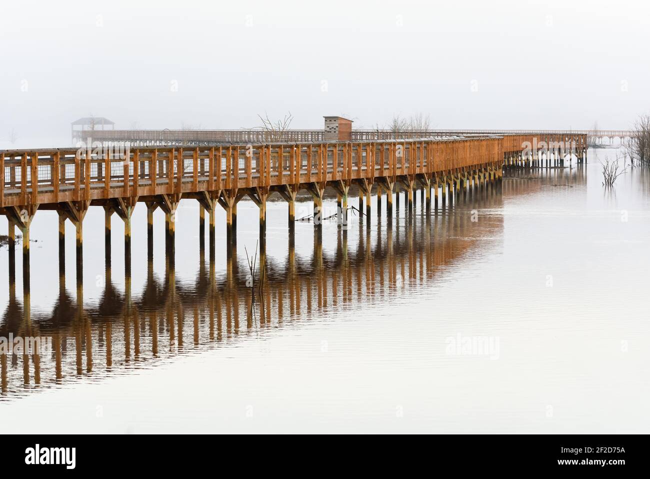 Wooden elevated boardwalk hi-res stock photography and images - Alamy